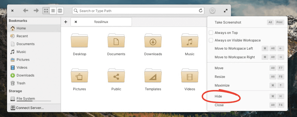 How to minimize windows in elementary OS | FOSS Linux