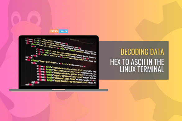 The 10 Best Programming Languages For Hacking Foss Linux